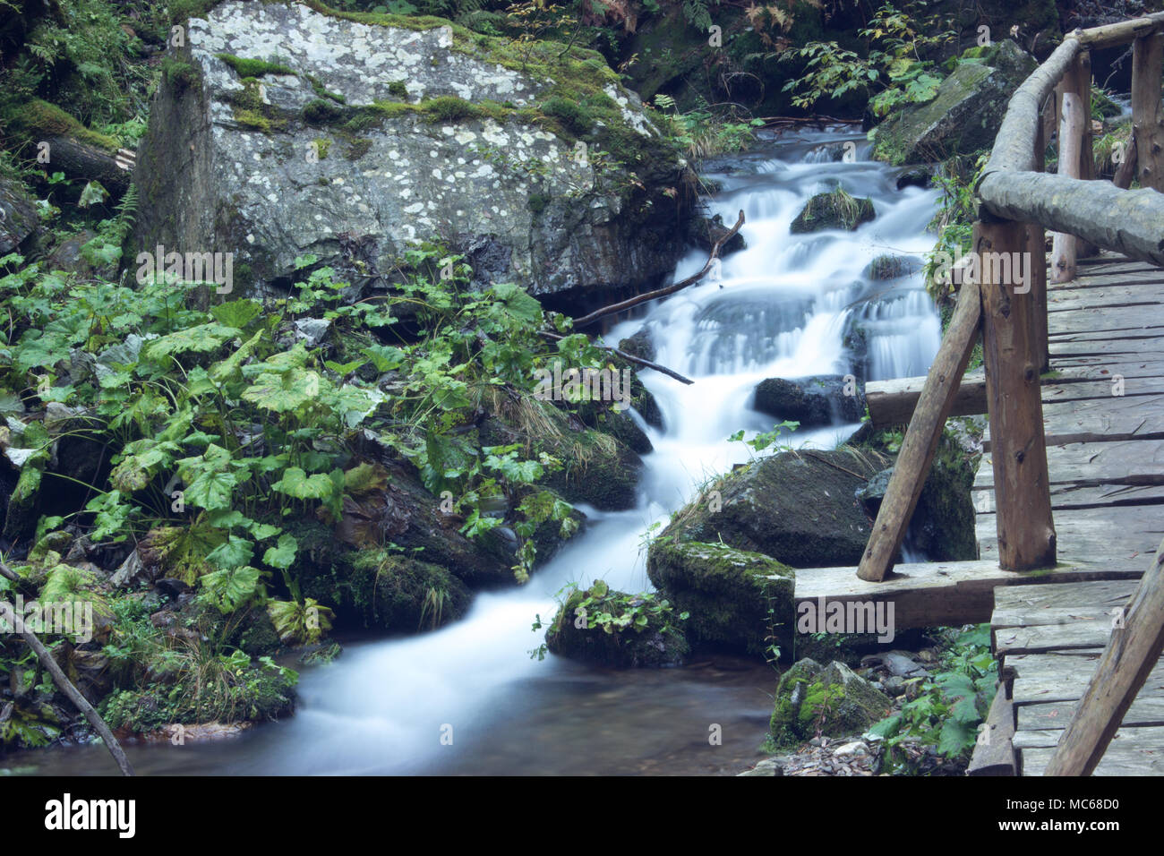 Bila opava river hi-res stock photography and images - Alamy