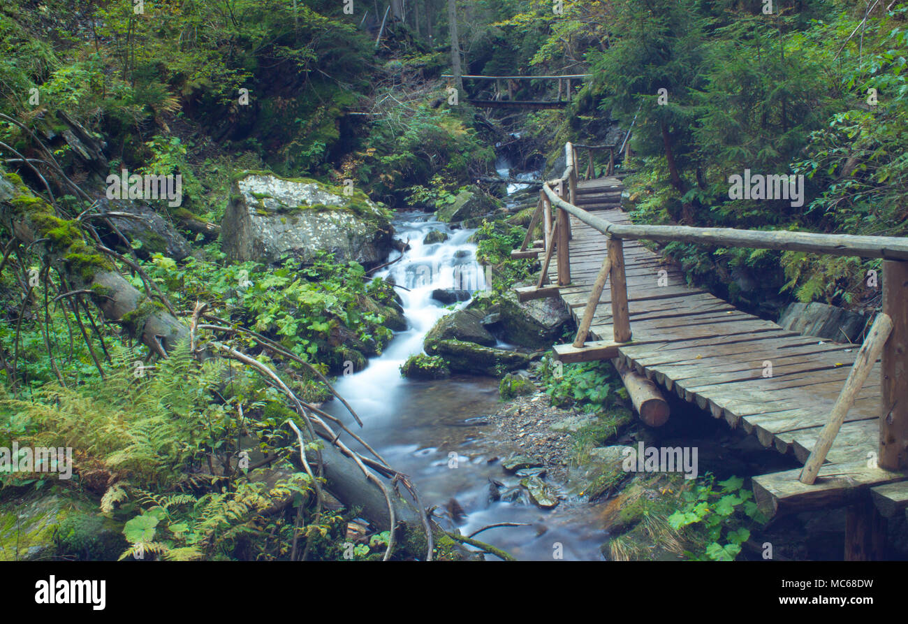 The river White Opava in the Jeseniky mountain in the Czech Republic ...