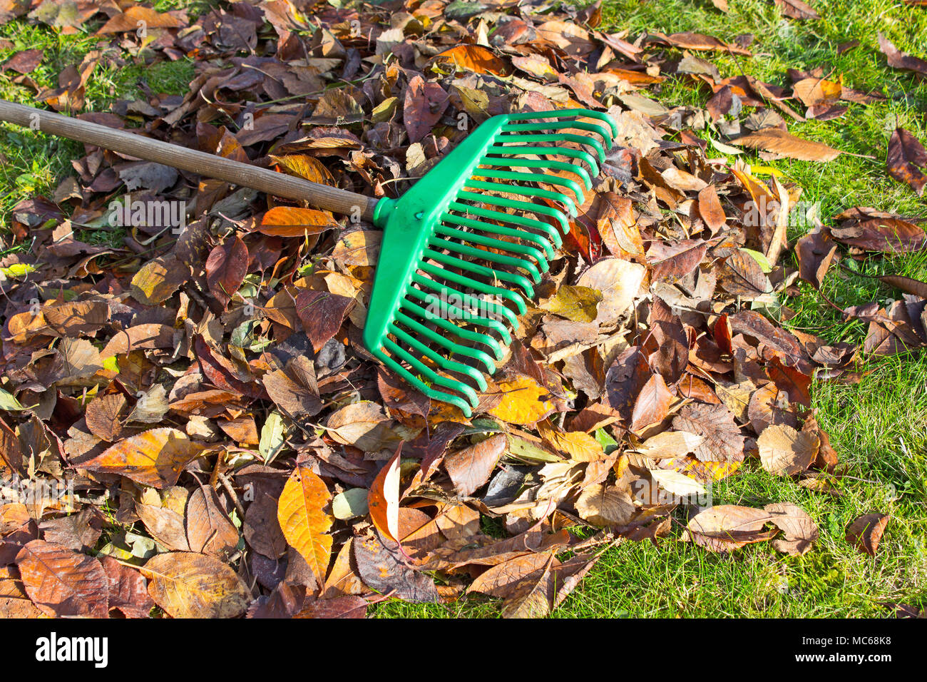 Plastic rake for leaves hi-res stock photography and images - Alamy