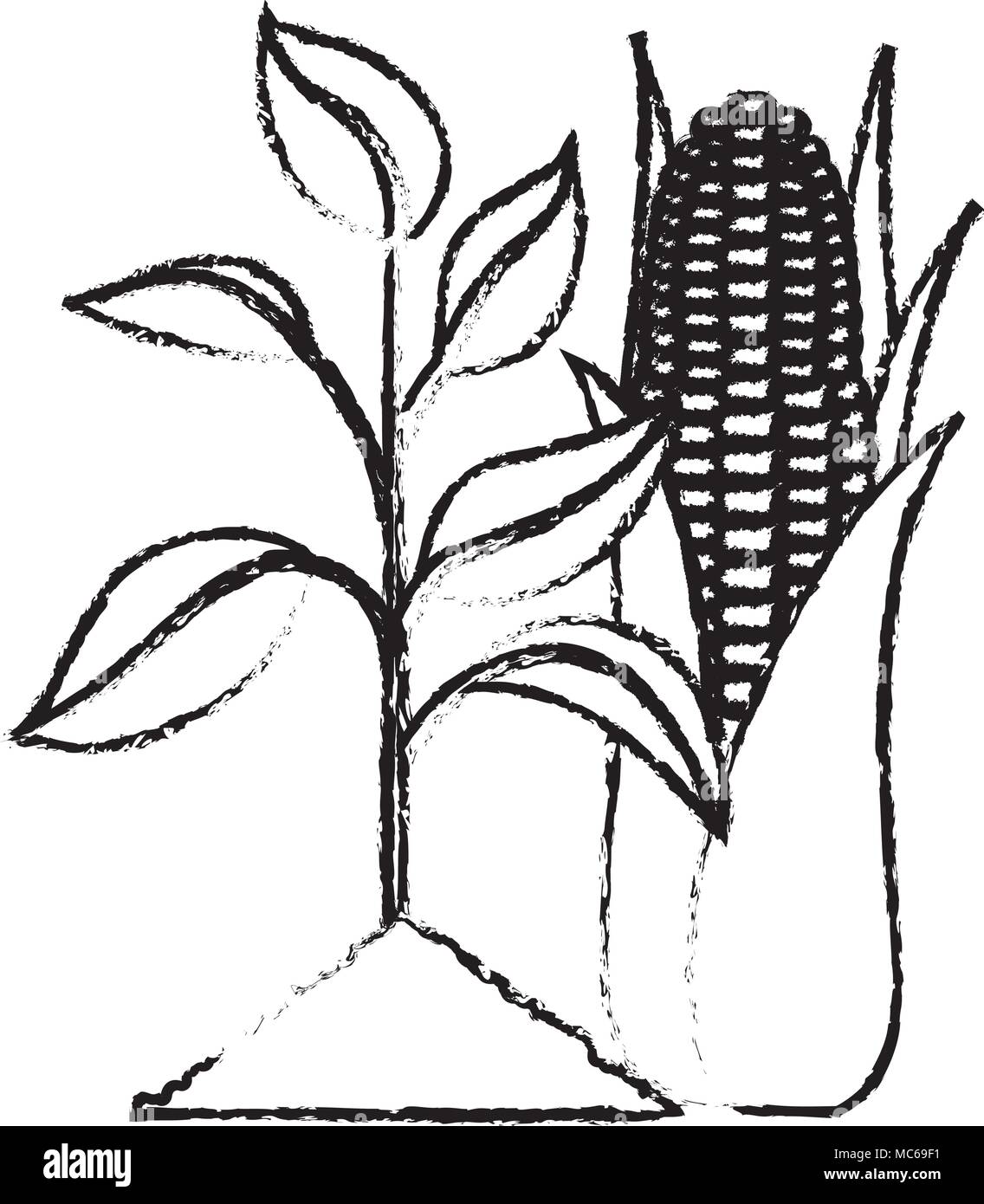 Carbon cycle diagram hi-res stock photography and images - Alamy