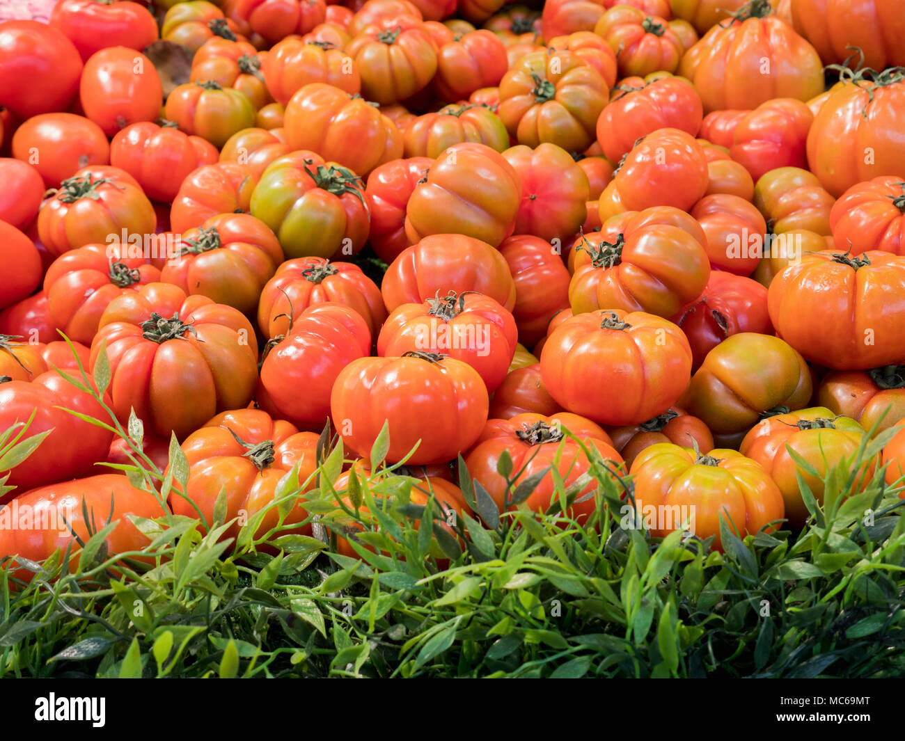Monterosa tomato hi-res stock photography and images - Alamy