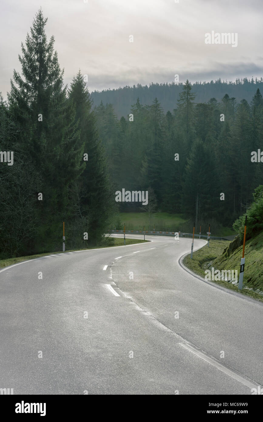 Driveway forest hi-res stock photography and images - Alamy