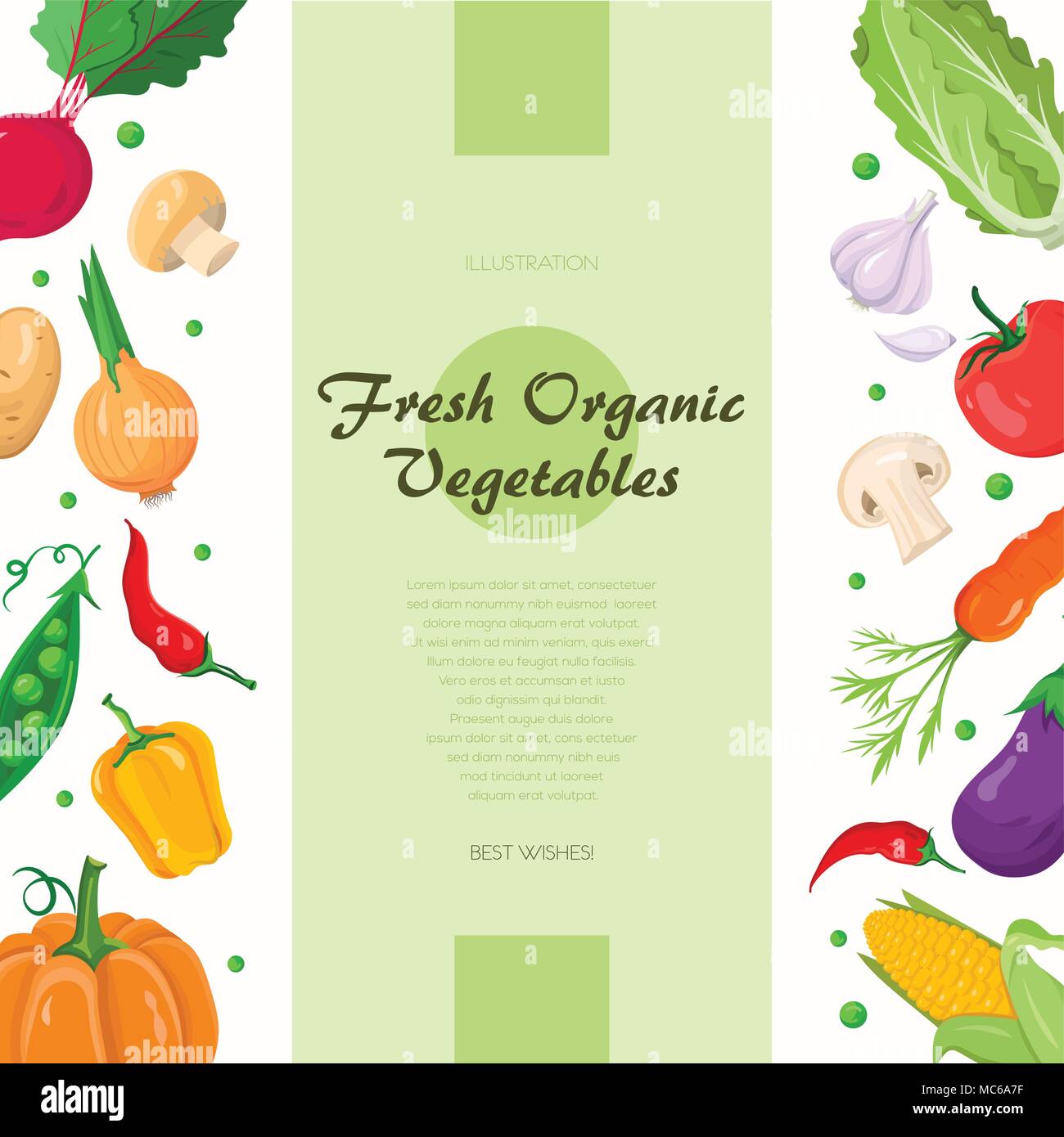 Fresh organic vegetables - modern colorful vector illustration Stock ...