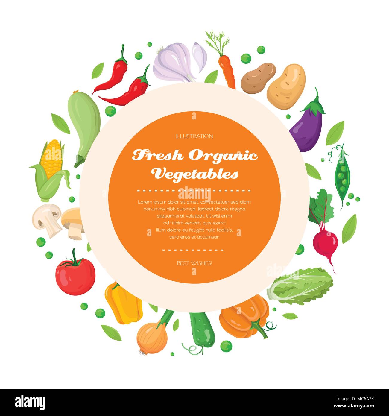Fresh organic vegetables - modern colorful vector illustration Stock ...