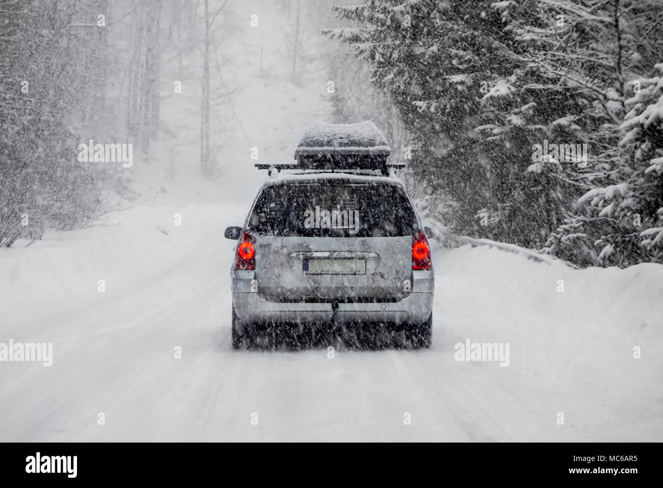 Car driving through forest hi-res stock photography and images - Alamy