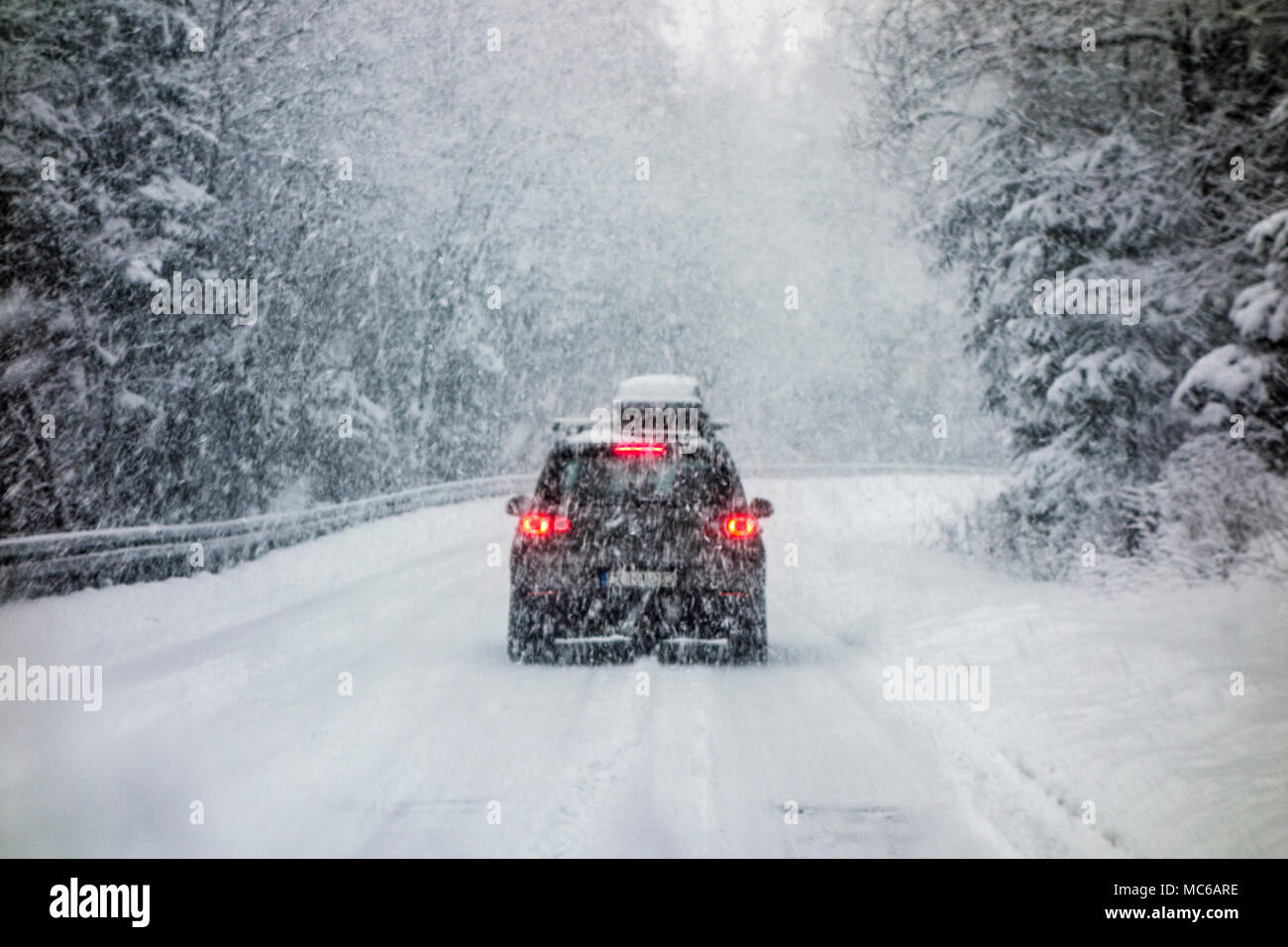 Car driving through forest hi-res stock photography and images - Alamy
