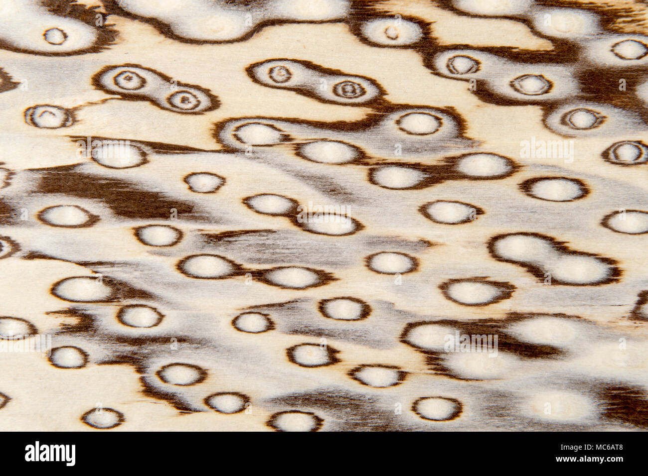 Natural stained rich root wood background pattern Stock Photo - Alamy