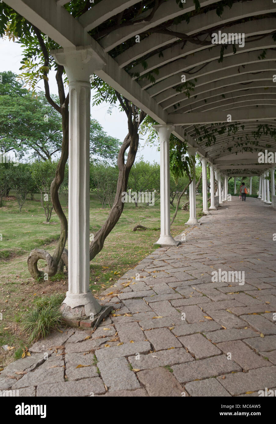 Covered path with paved walkway in public garden with with creeper ...