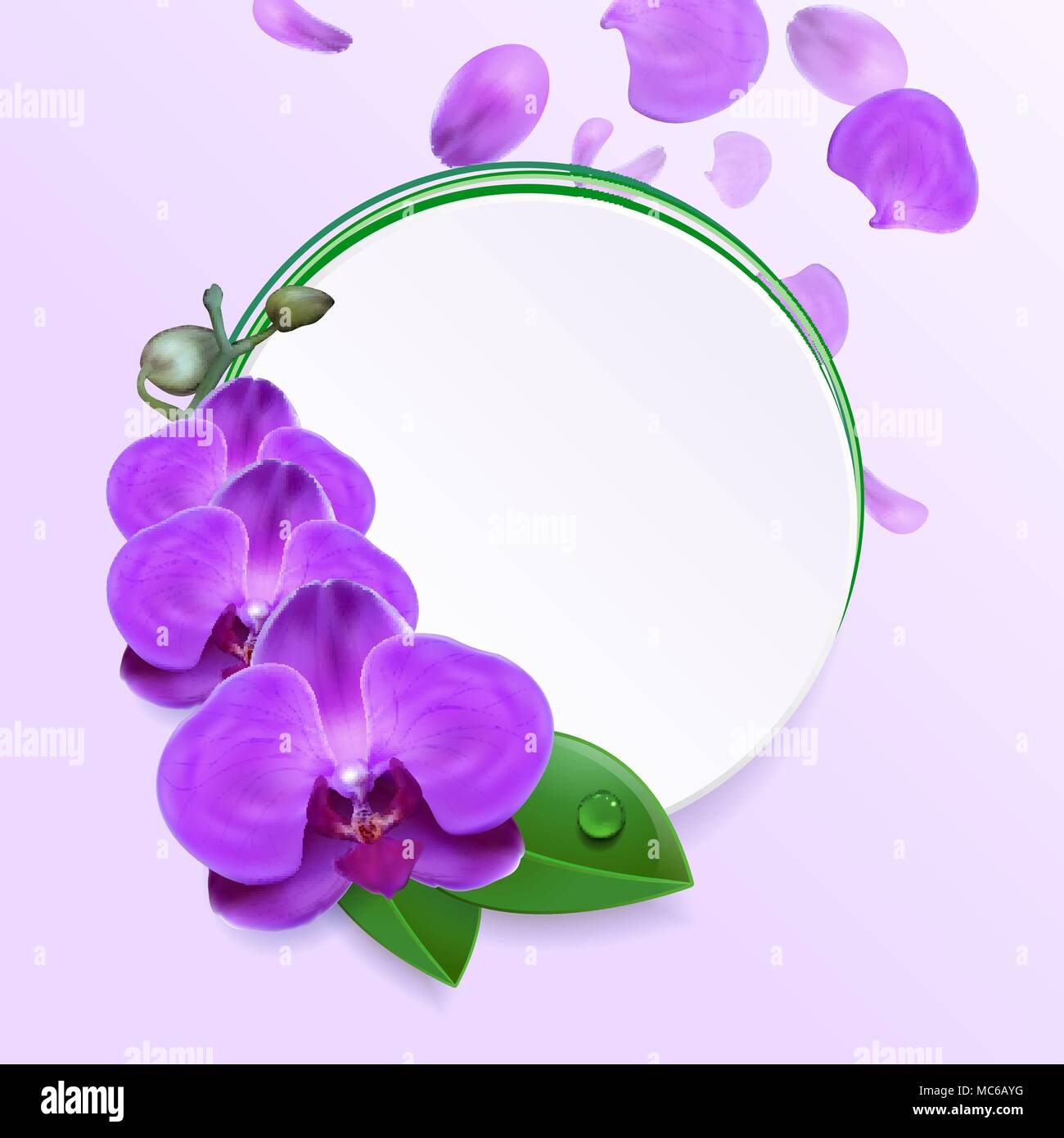 Abstract light paintings on Stock Vector Images - Alamy