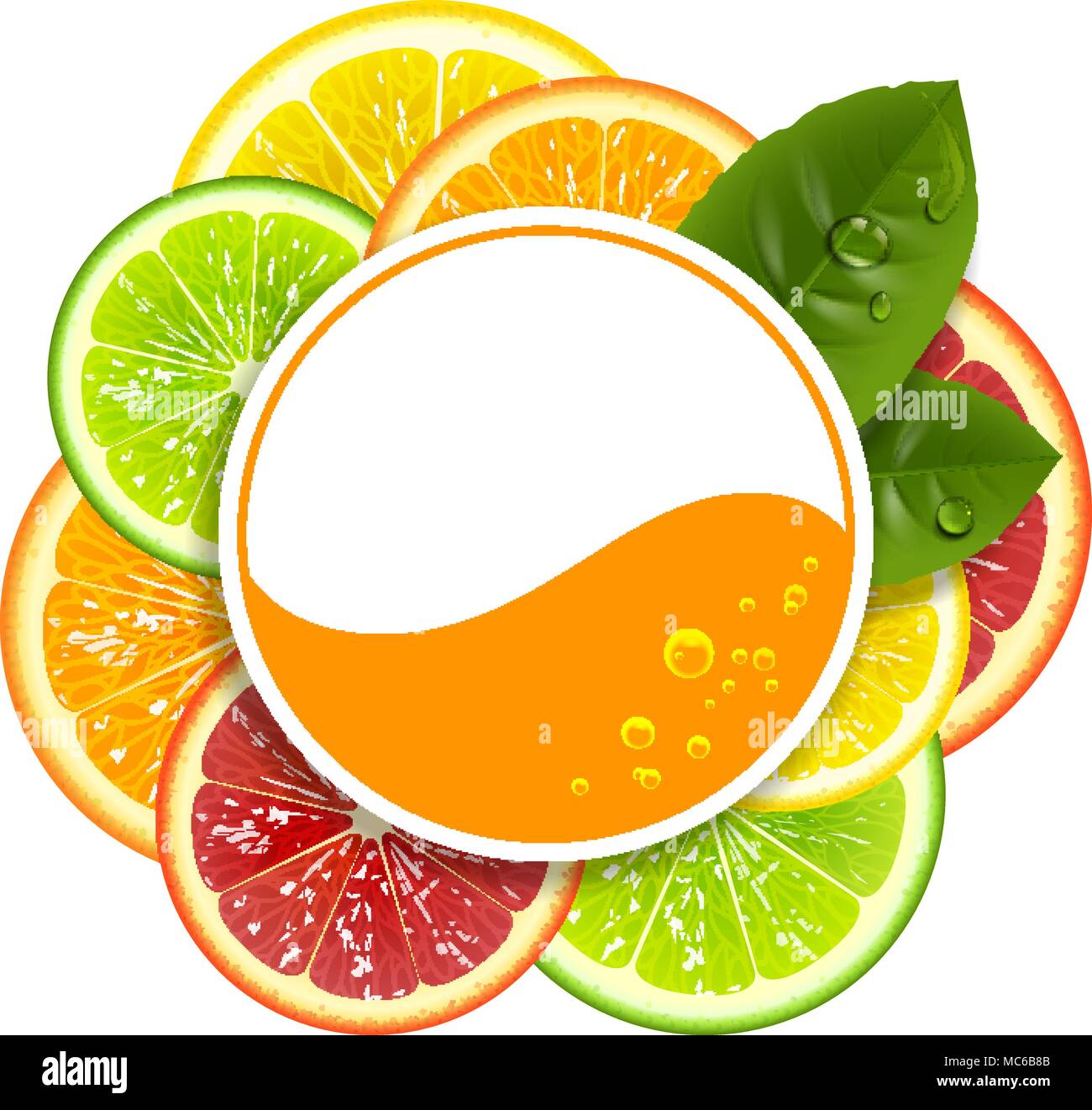 Fruit lemon citrus leaves Stock Vector Images - Alamy
