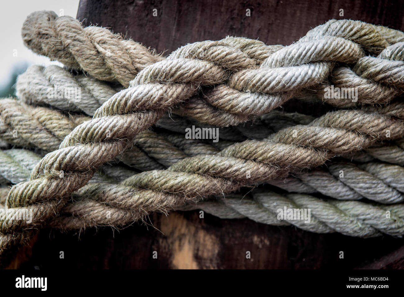 Old rope close up hi-res stock photography and images - Alamy