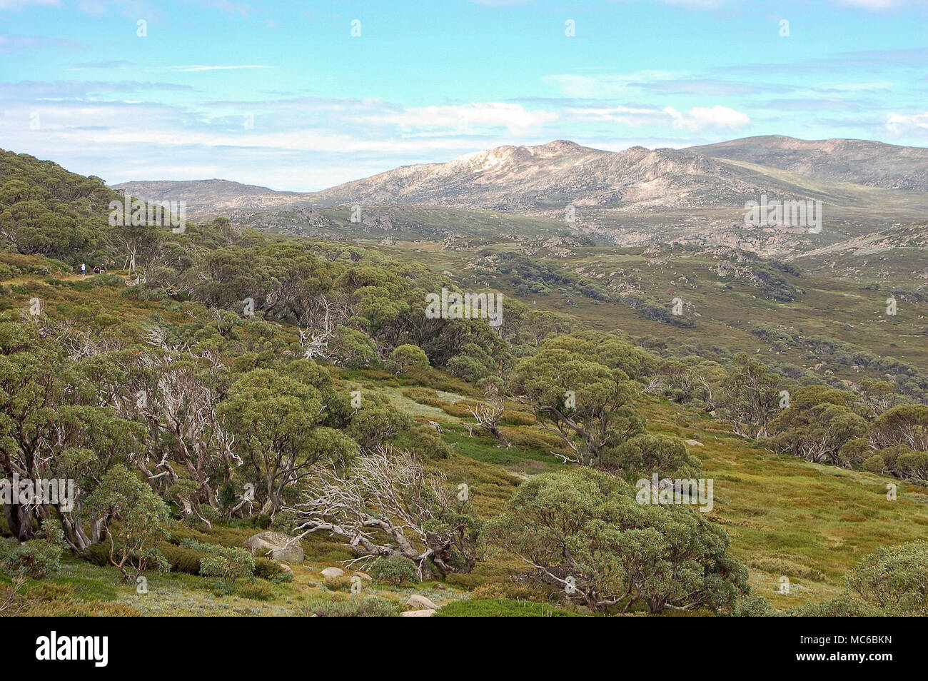 Snowy mountains in summer hi-res stock photography and images - Alamy