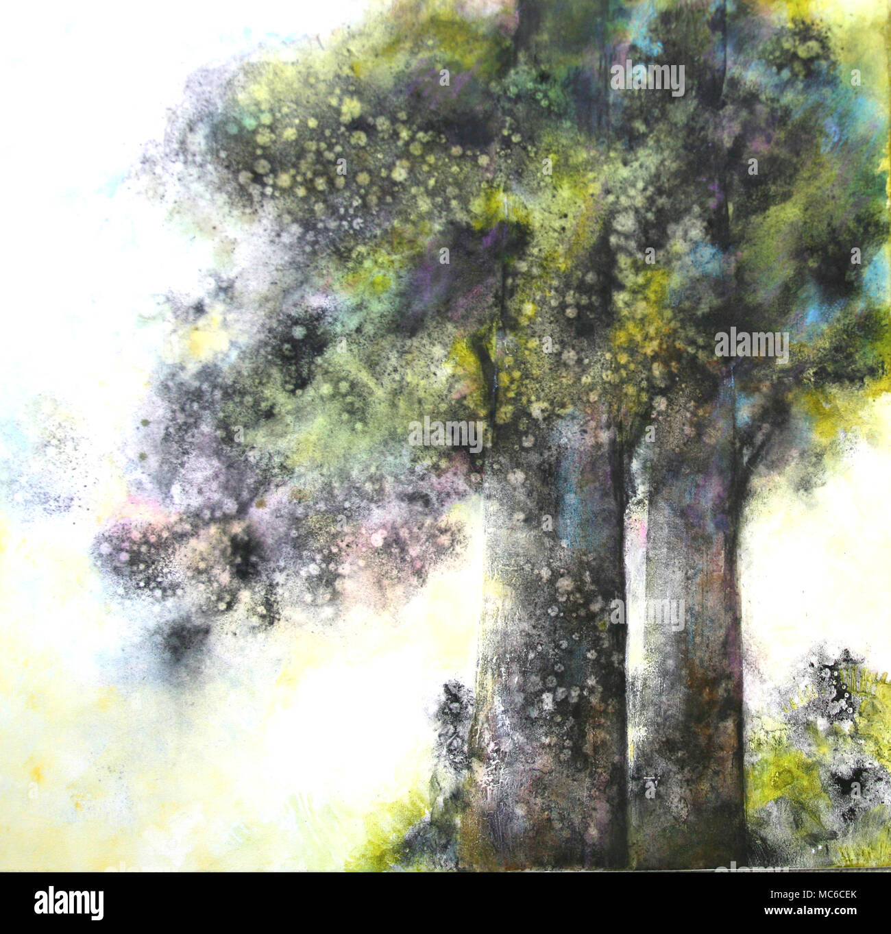 Square trunk tree hi-res stock photography and images - Alamy