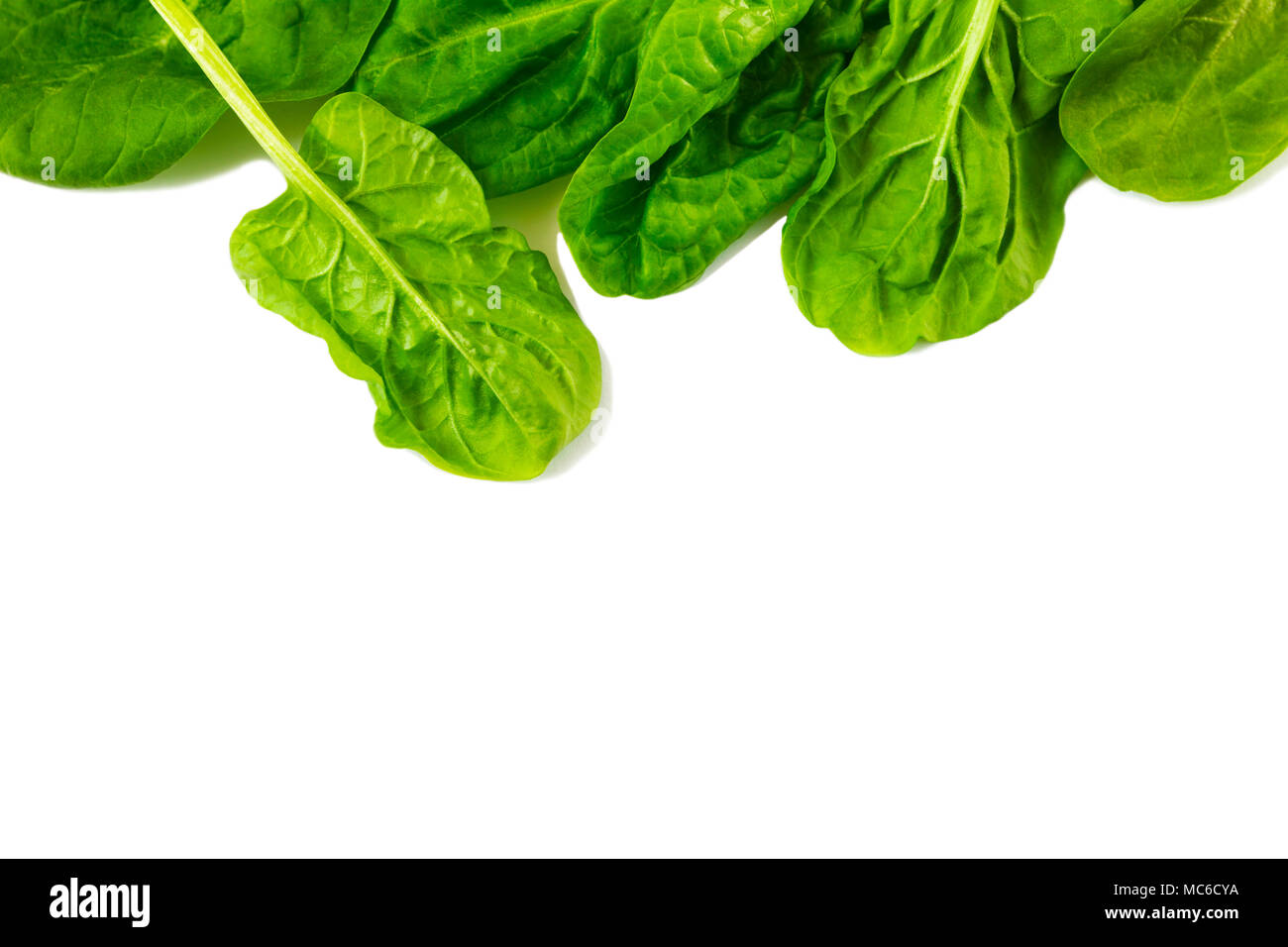 Spinach leaves isolated on white background, copy space Stock Photo - Alamy