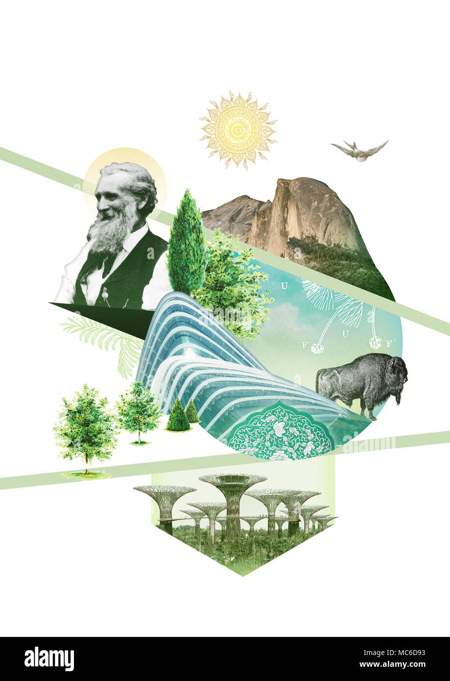 Charles darwin evolution of man hi-res stock photography and images - Alamy