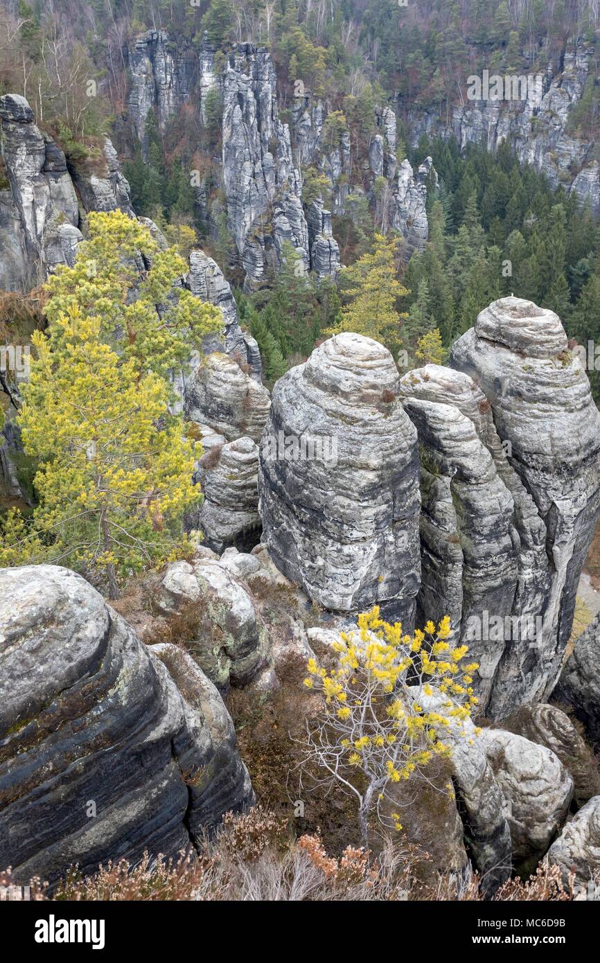 Saxon Switzerland / saxon sandstone mountains in Rathen (Saxony), 01 ...