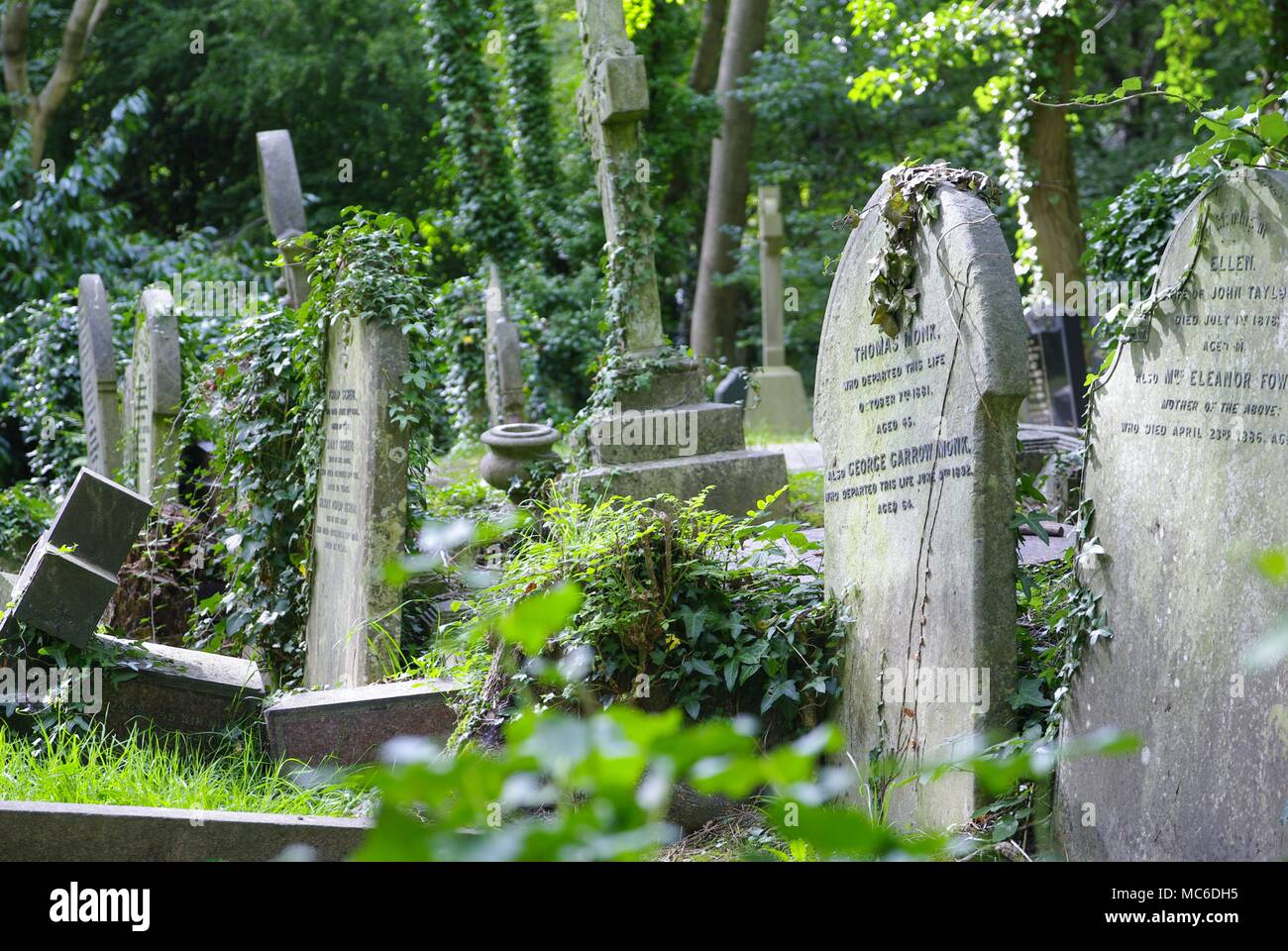 In the Highgate cemetery in the Camden district of London numerous well ...