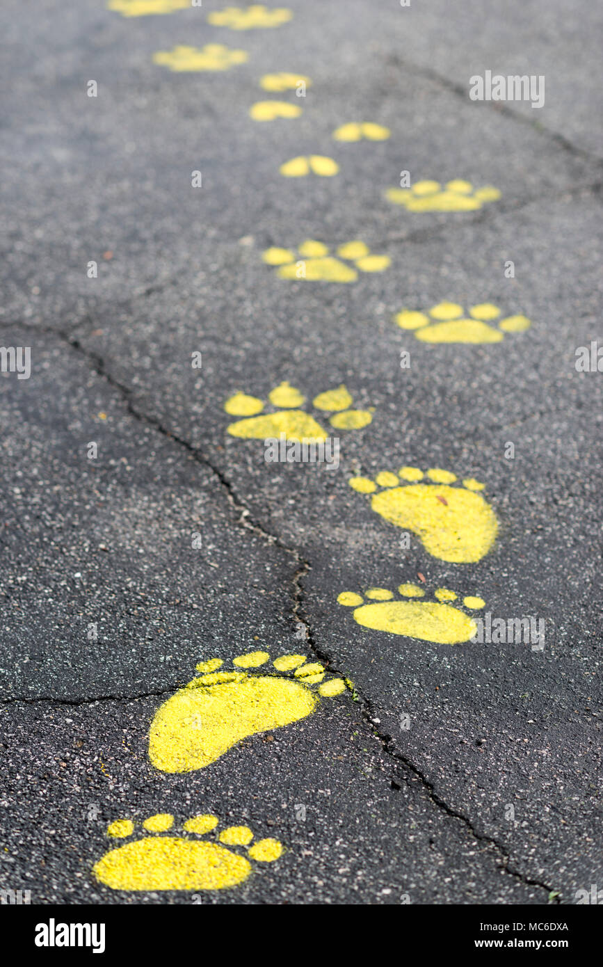 colorful painted footsteps on pavement path for a wonderful experience ...