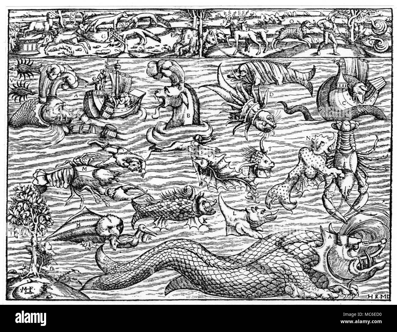 MONSTERS 'Seawonders', and other marine monsters - after a woodcut of ...