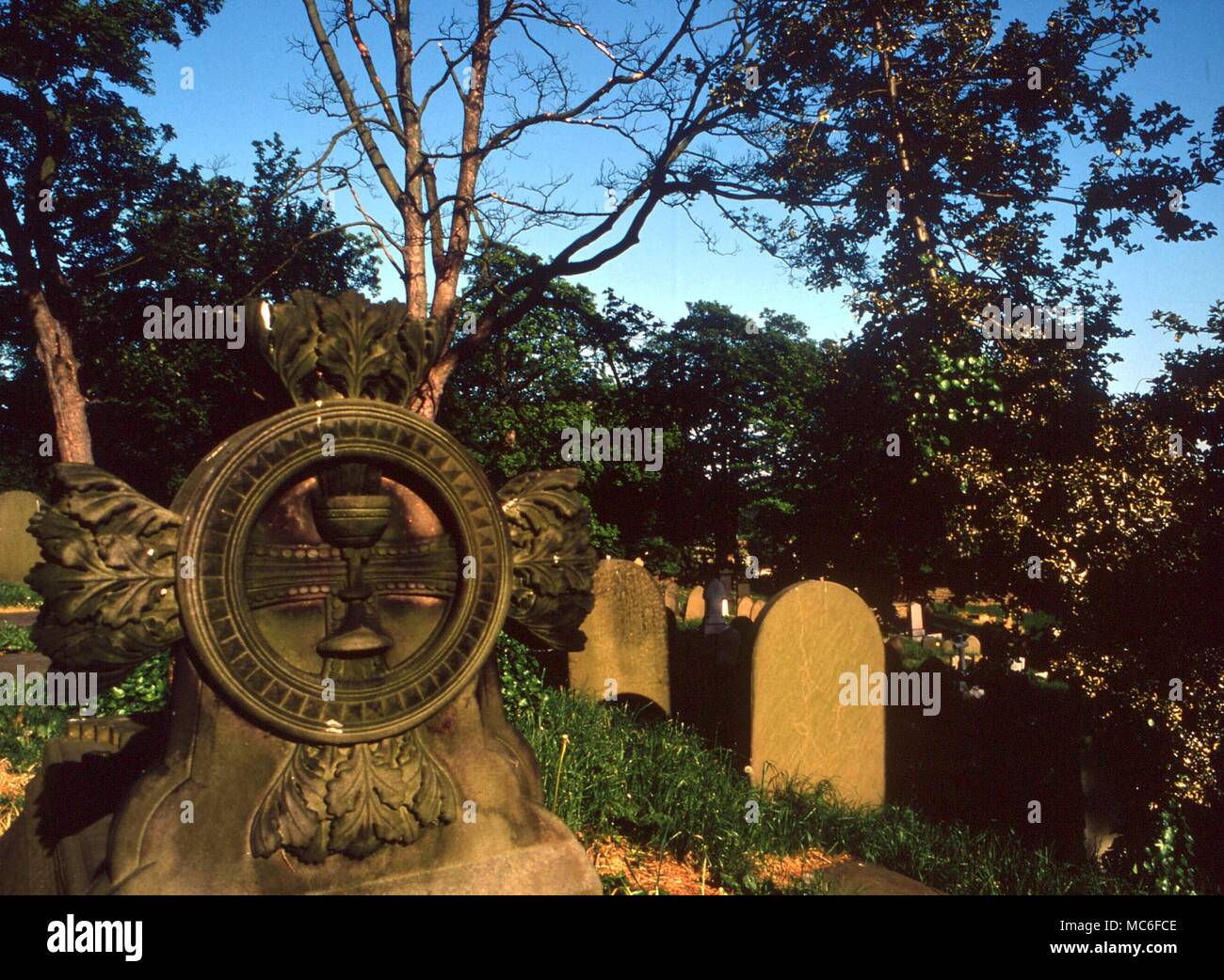 Rick Dale Girlfriend Kelly Mayer