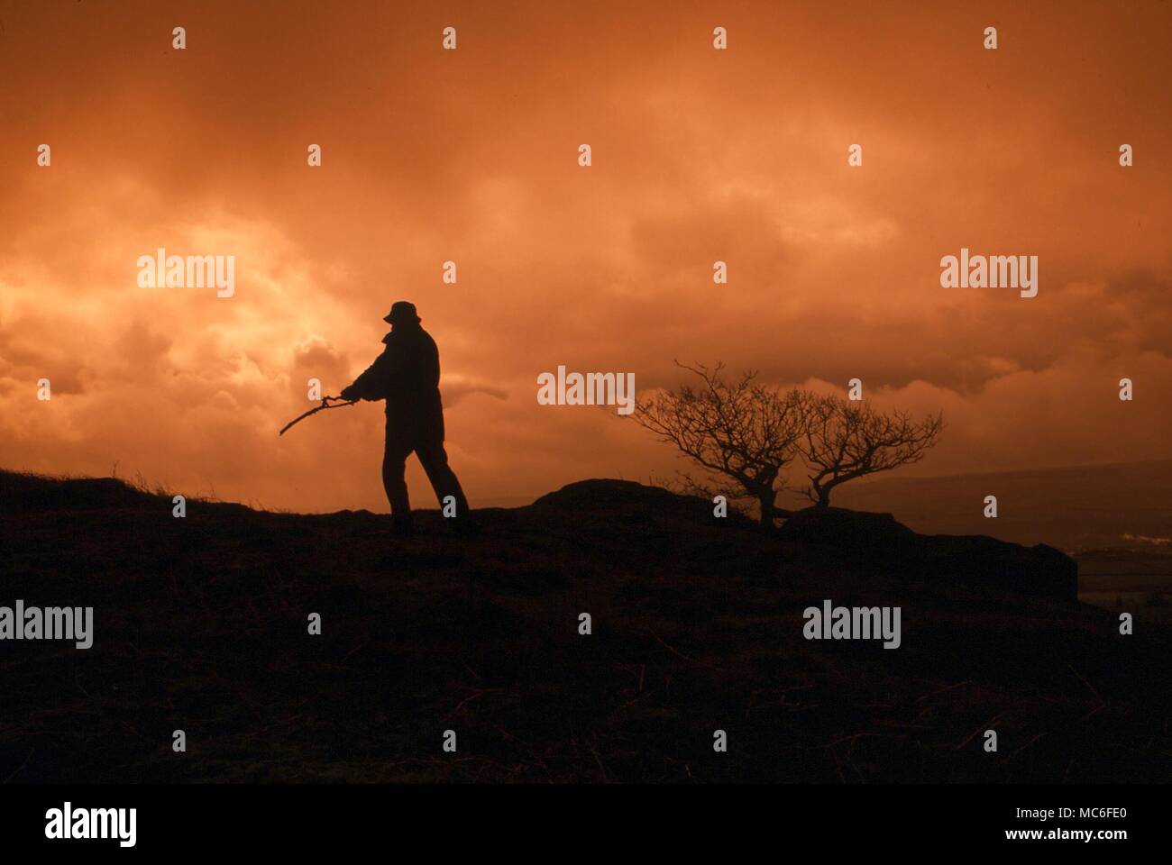 Divining High Resolution Stock Photography and Images - Alamy