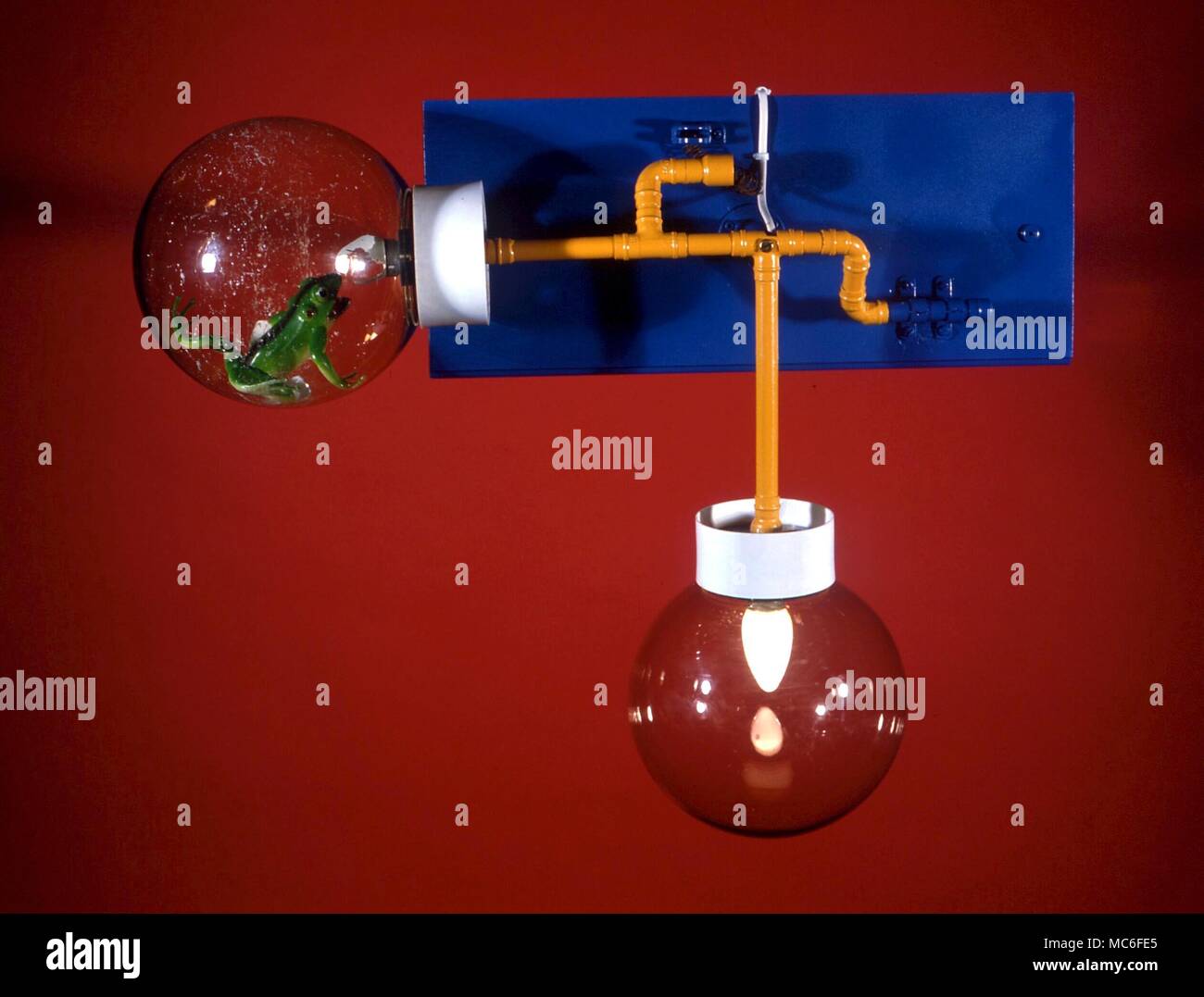 STAGE MAGIC - Shooting the frog Magician shoots at a light bulb. In ...