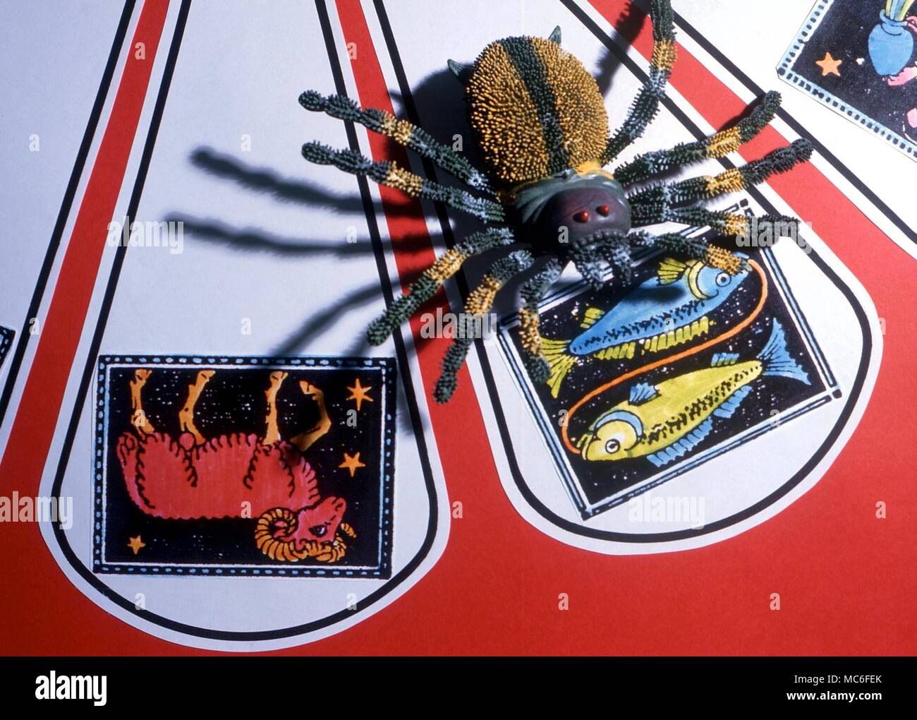 STAGE MAGIC - Astrological spider Members of the audience shout out ...