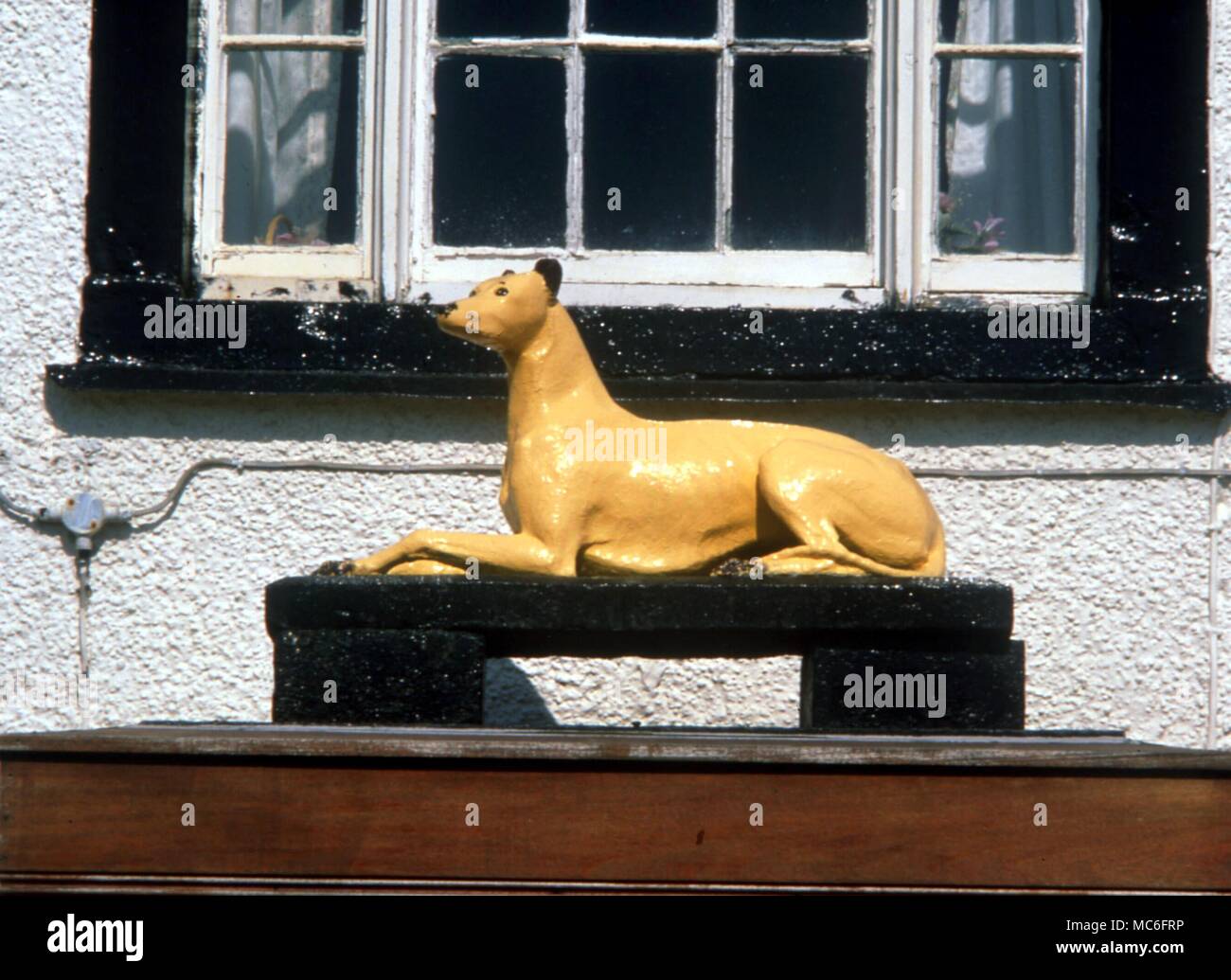 Greyhound, painted yellow - pub sign effigy at Shap, over the door of ...