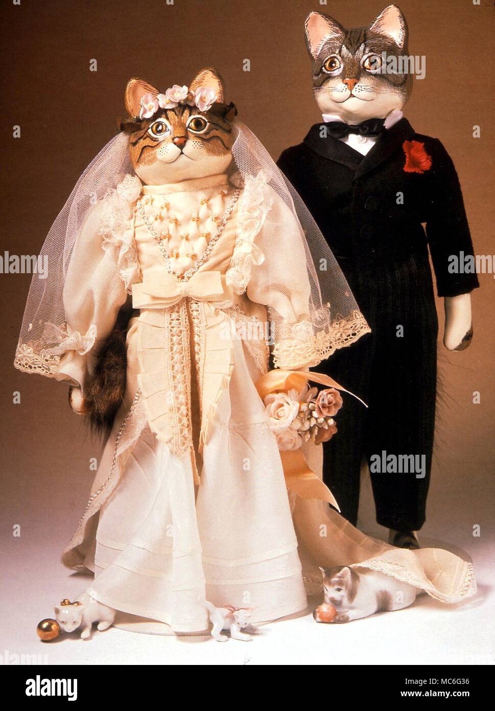 Real Cats Getting Married