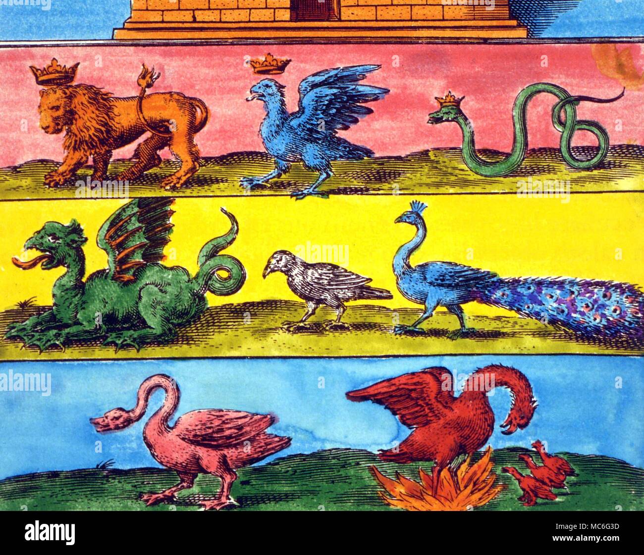 ANIMALS Pelican, among a number of other arcane animal and bird symbols ...