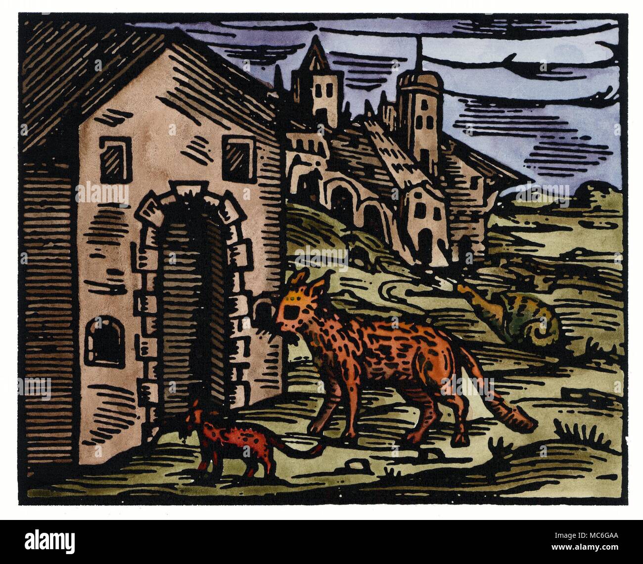 WITCHCRAFT - DEMONS The witch has the power to turn into animals, such ...