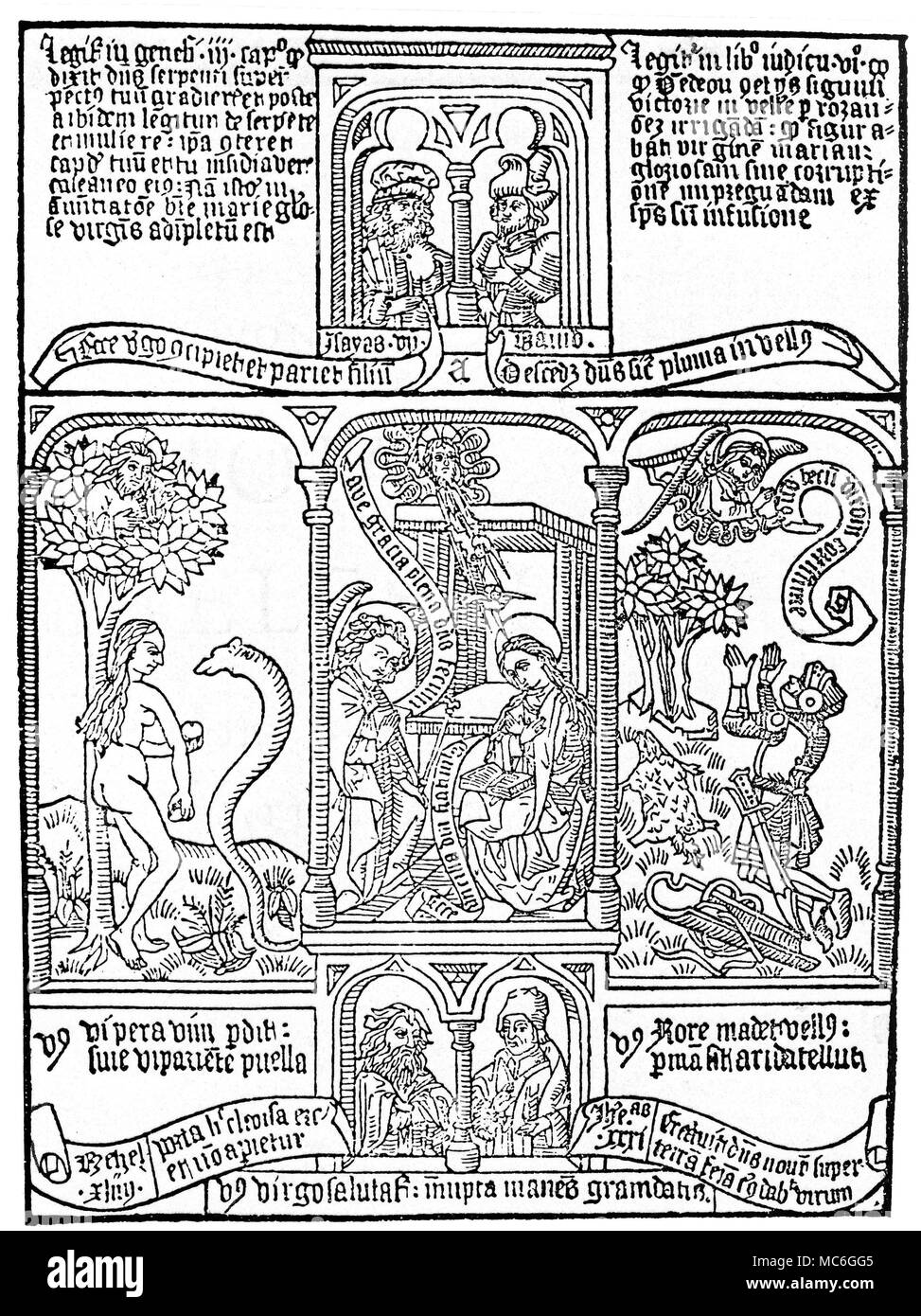 SYMBOLS - SERPENT - GOLDEN FLEECE Woodcut from a late fifteenth century ...