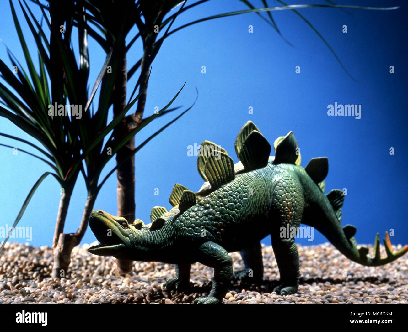 Model of Stegosaurus Stock Photo - Alamy
