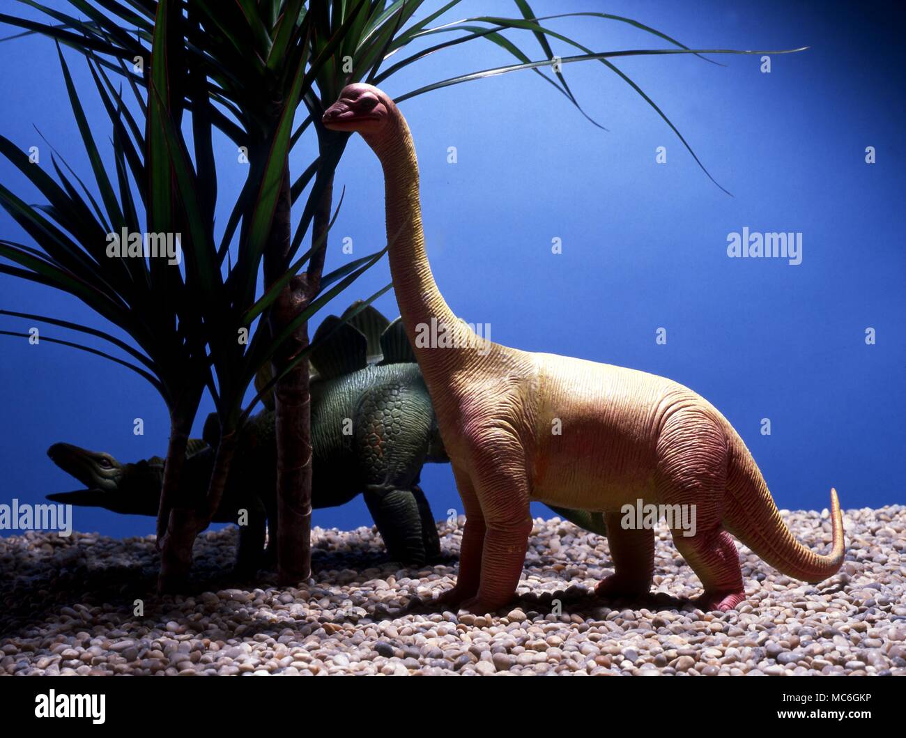 Brachiosaur hi-res stock photography and images - Alamy