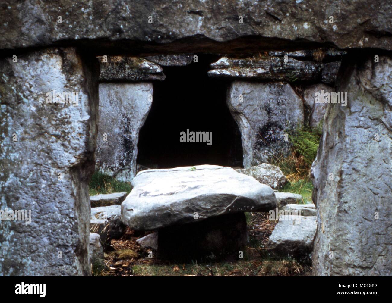 DRUIDS - MASHAM The so-called 'Druid Altar Stone' inside the stone ...