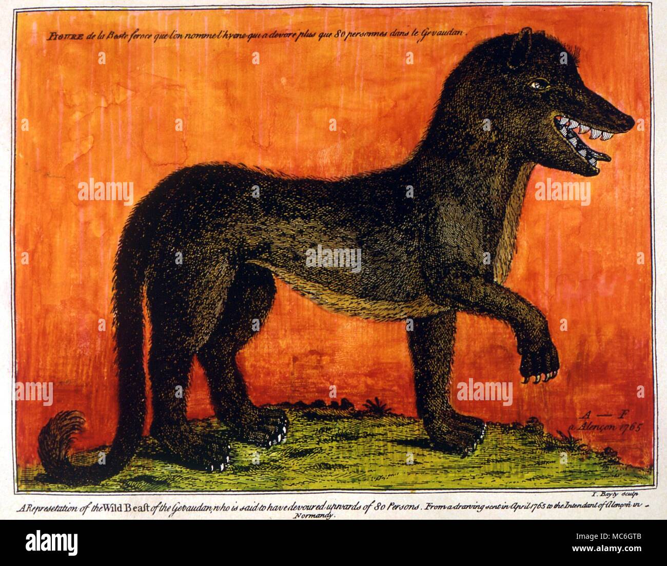 Ferocious wolf hi-res stock photography and images - Alamy