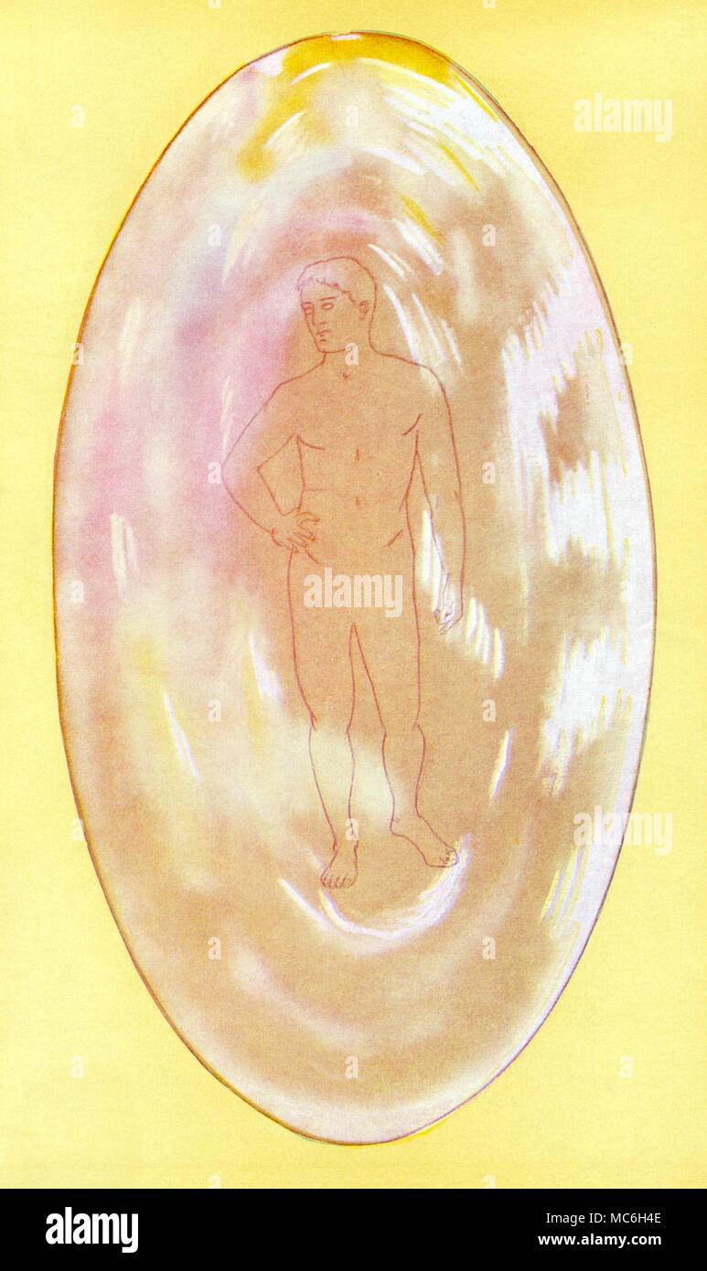 Ovoid bodies hi-res stock photography and images - Alamy