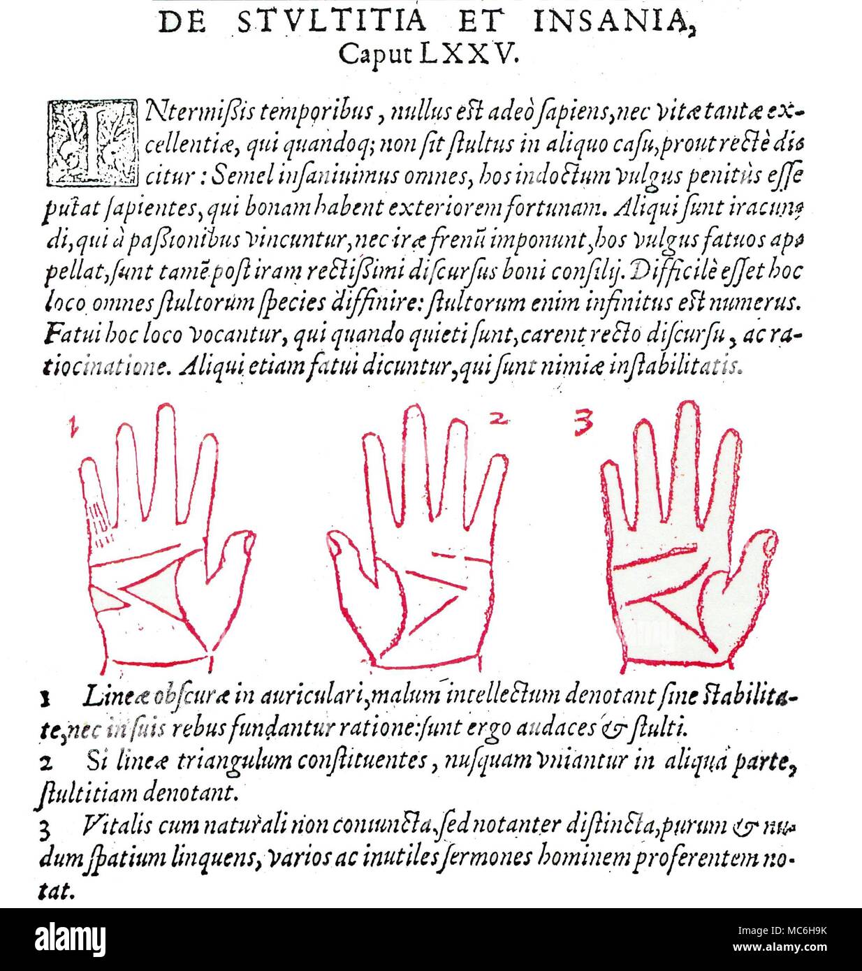 Palmistry Lines High Resolution Stock Photography and Images - Alamy