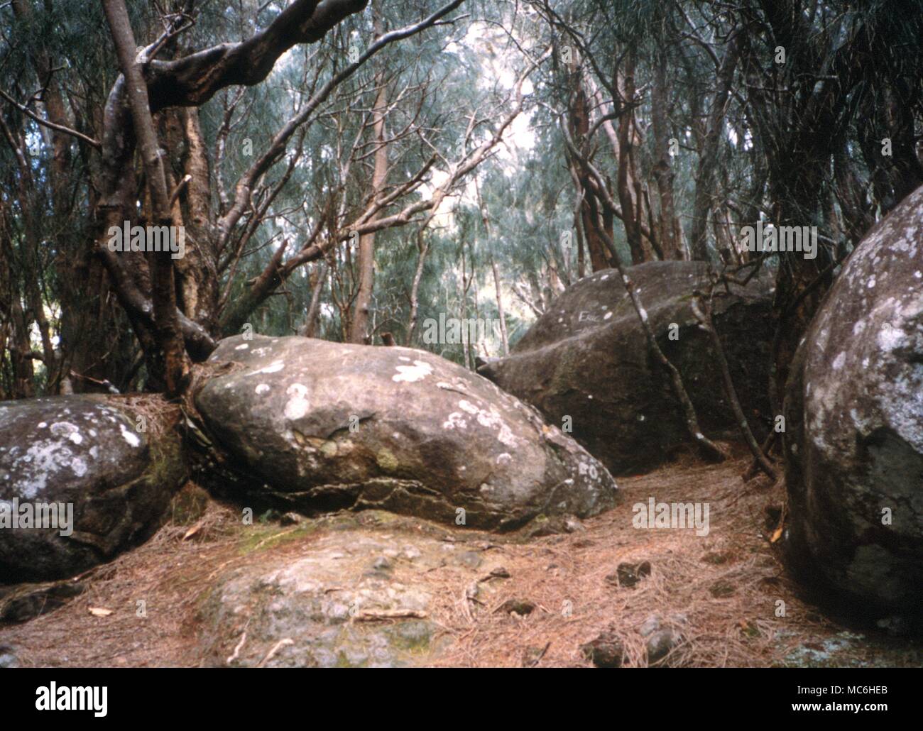 Ka ule o nanahoa hi-res stock photography and images - Alamy