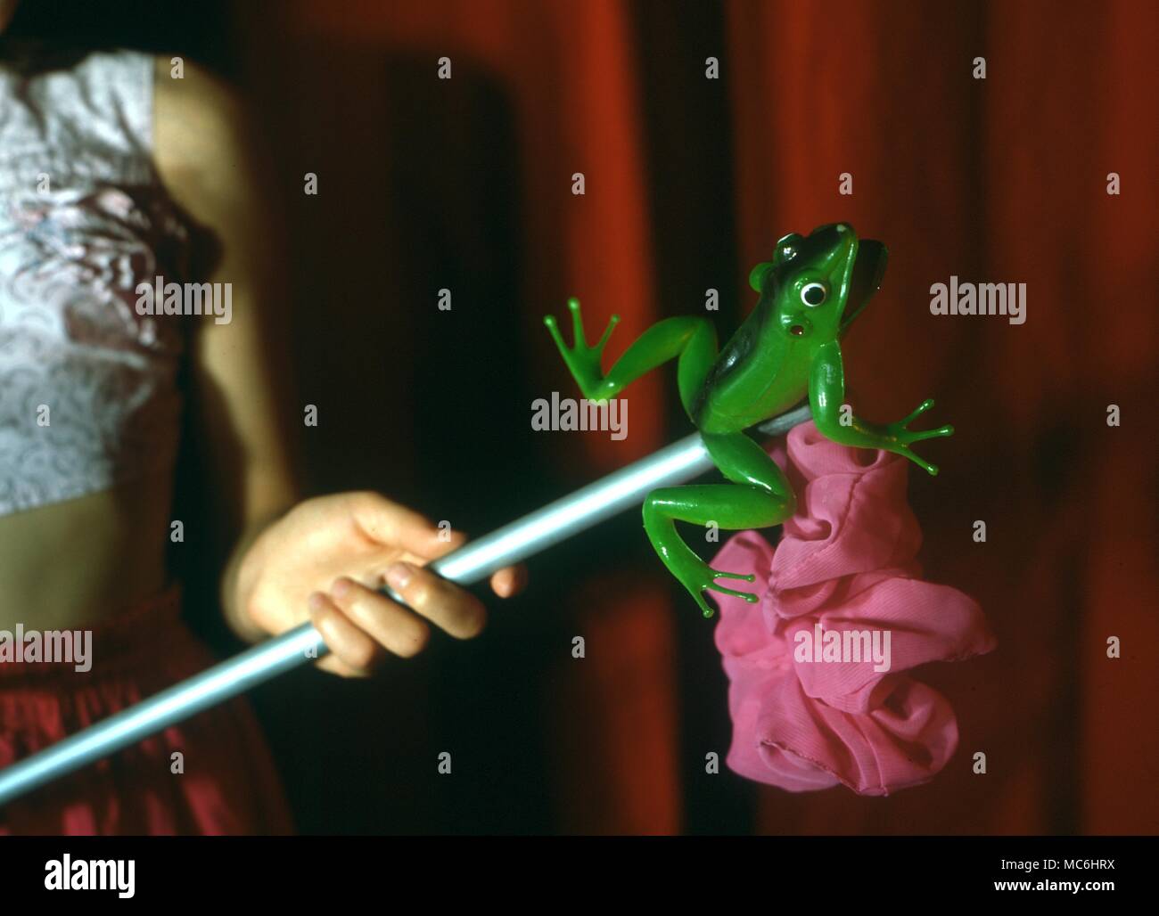 Stage Magic - The frog who eats silk. The frog is on the end of a stick ...