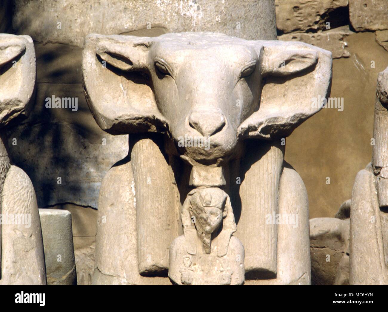 Egypt Avenue of Sphinxes Avenue of ram headed sphinxes in the entrance ...