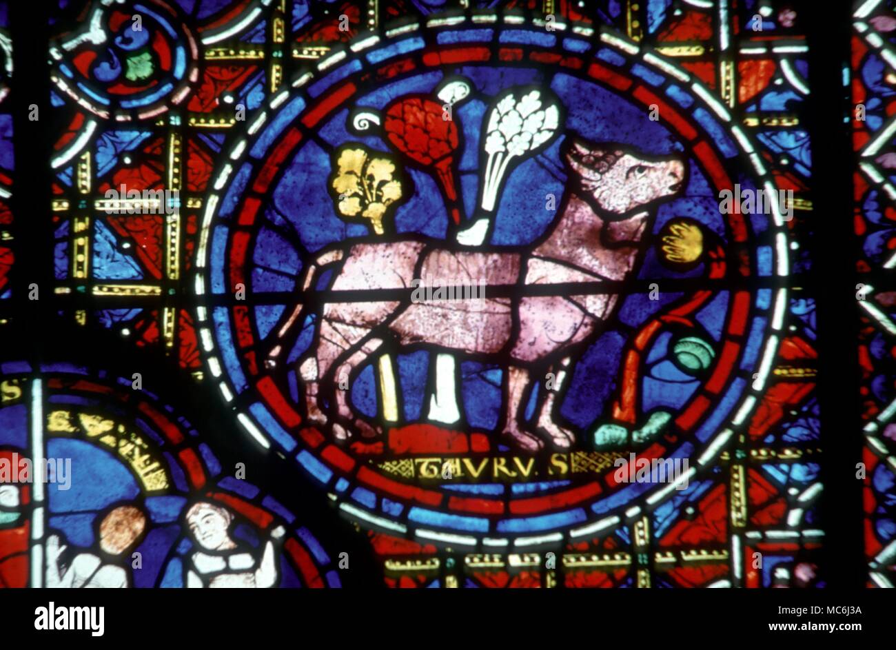 Zodiac Signs Taurus Image of zodiacal Taurus the bull from the stained ...