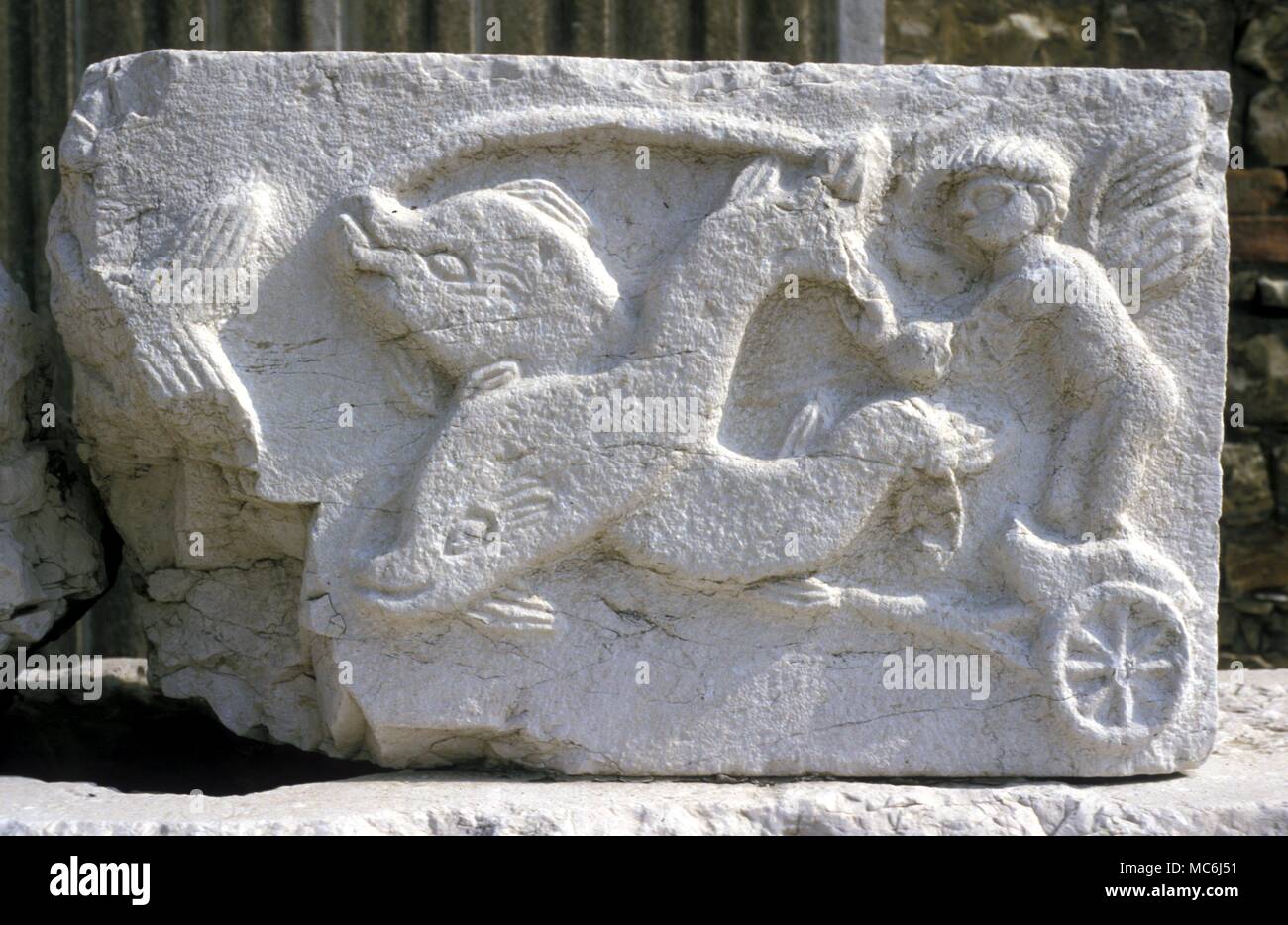 Dolphin A pair of Dolphins pulling a winged cupid on a wheeled chariot ...