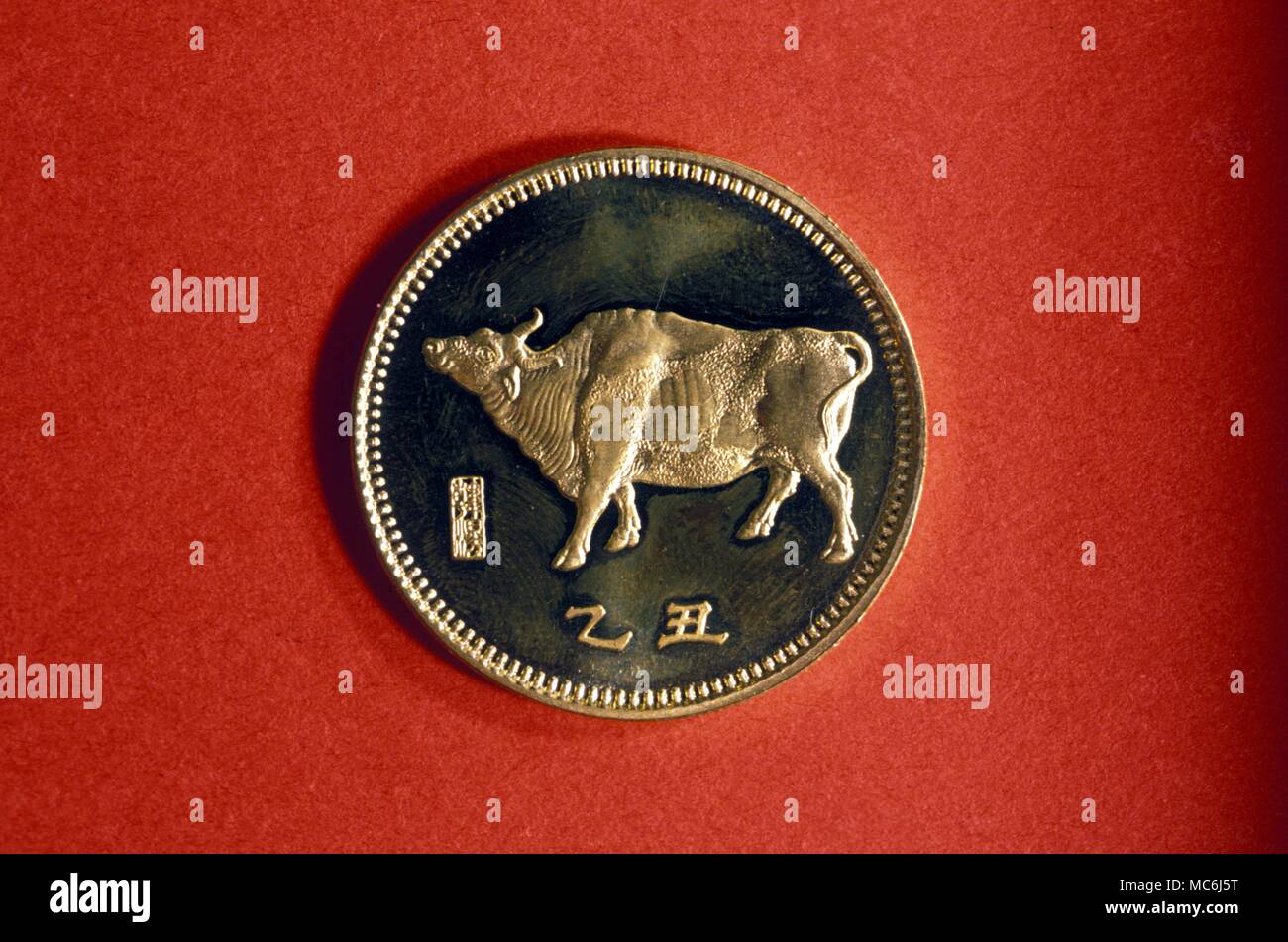 Chinese Astrology The Ox the chinese symbolic animal equivalent to the ...