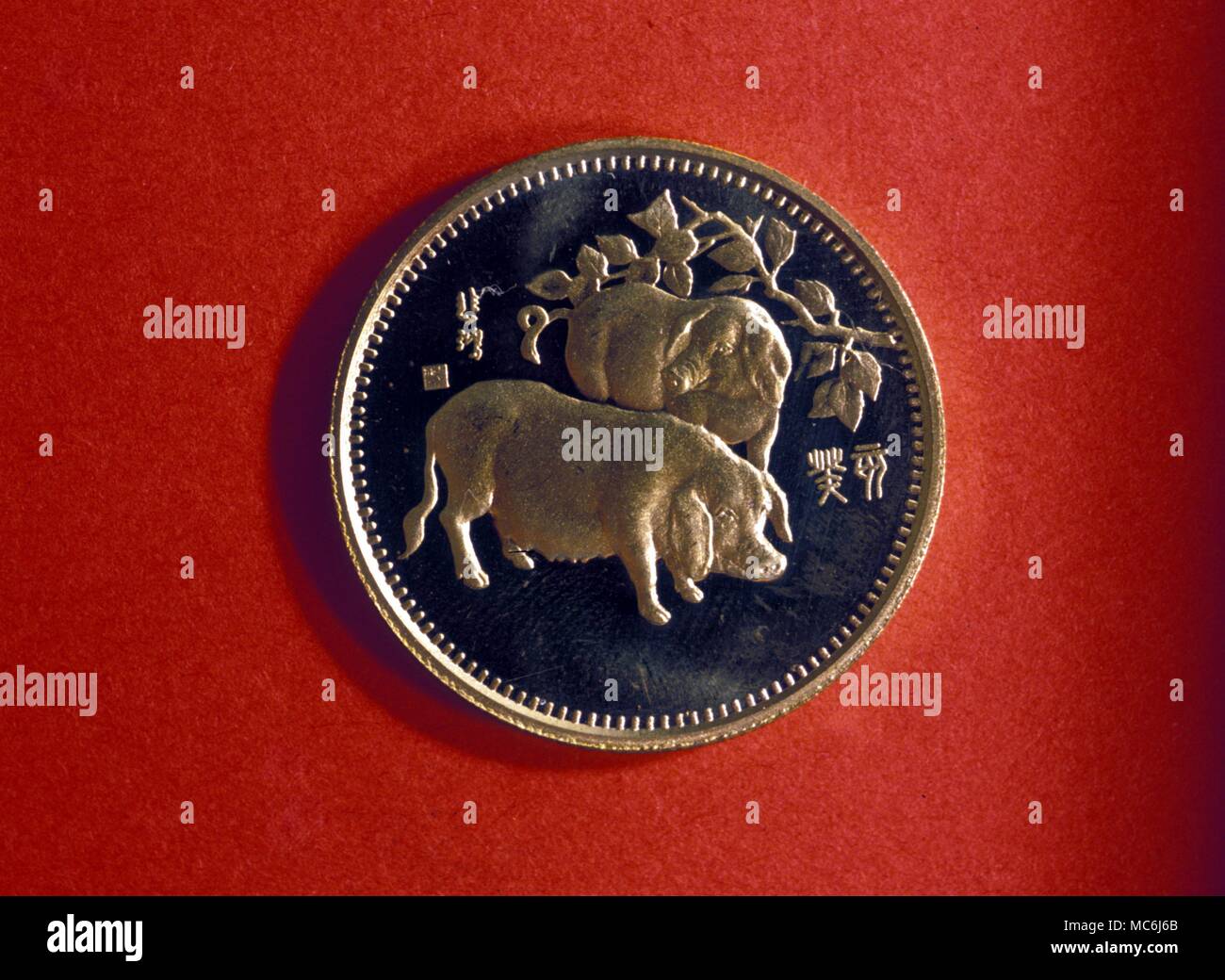 Chinese Astrology The Pig the chinese symbolic animal equivalent to the ...