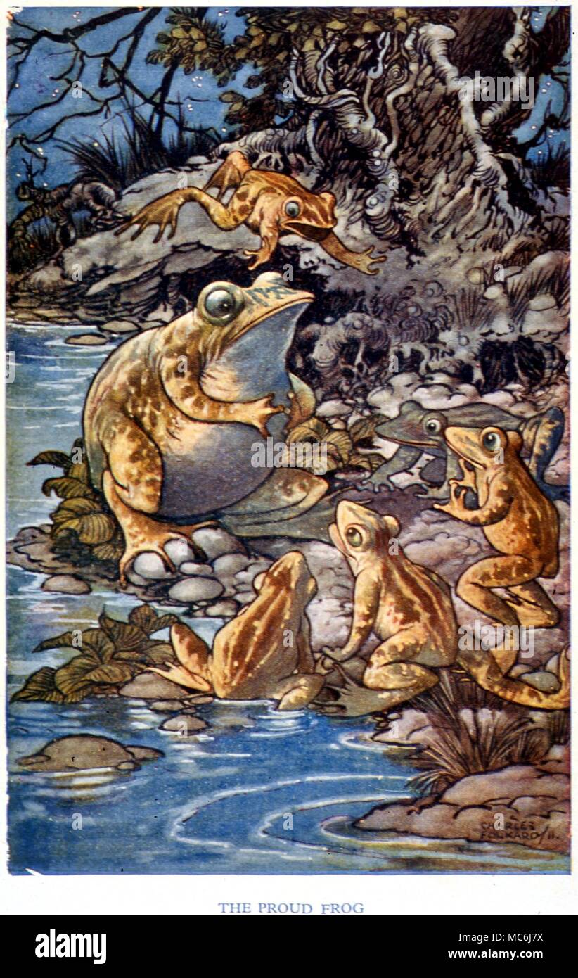 Aesops fables frog hi-res stock photography and images - Alamy