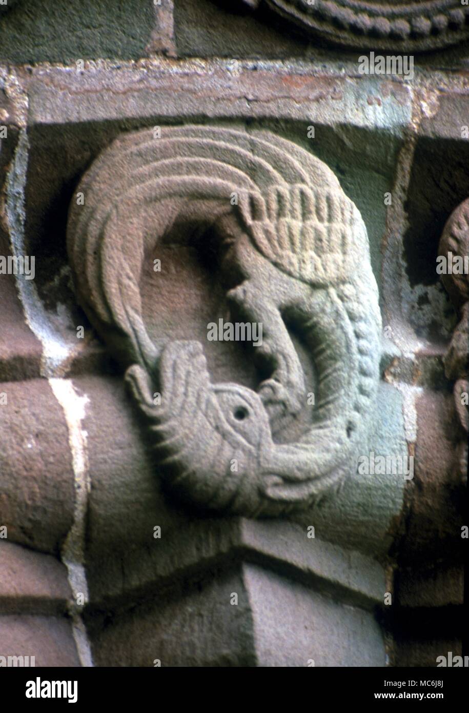 ALCHEMY - Ouroborus. Alchemical device of dragon eating its own tail ...