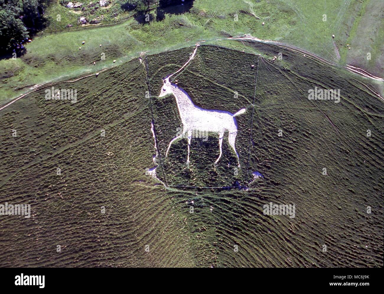 Dr alsop hi-res stock photography and images - Alamy