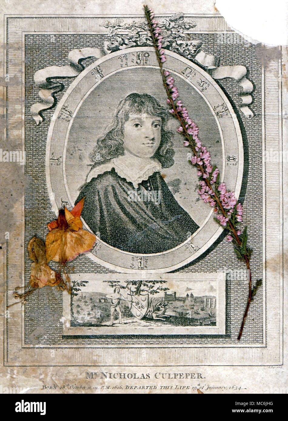 Culpepper hi-res stock photography and images - Alamy