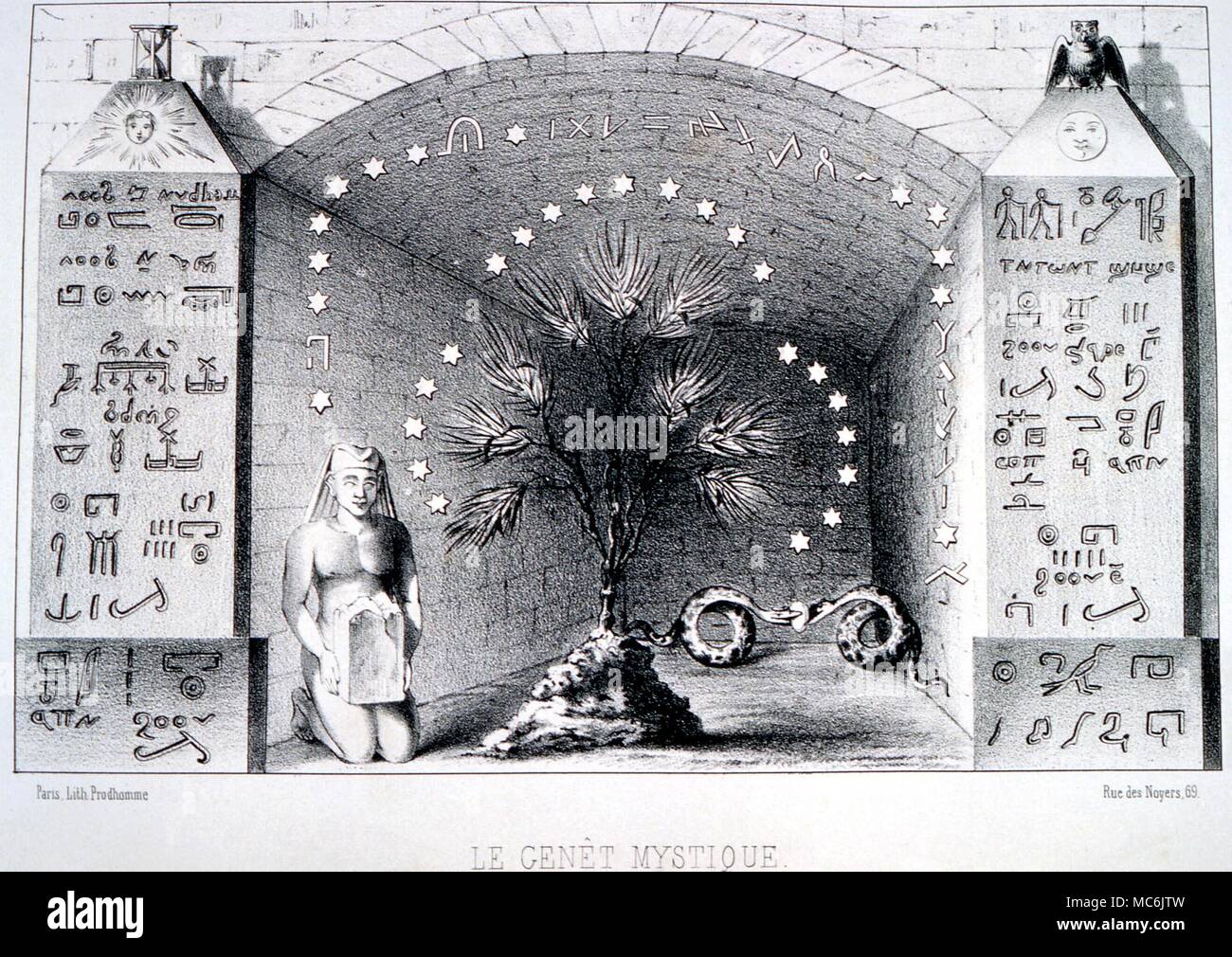 MASONRY - SACRED TREE AND CELLAR. Lithograph showing esoteric cellar of ...